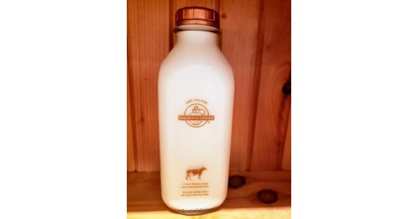 Milk - Local Eby Manor - Golden Guernsey - 2% Milk - 1 L